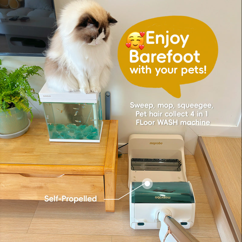 Your Magic Quiet Pickup Mop | Low-Maintenance 3-in-1 Floor Cleaning De – moprobo